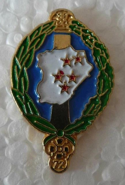 PIN'S MILITAIRE DU 39 Groupement De Camp-72 Regiment D'artillerie EUR 5 ...
