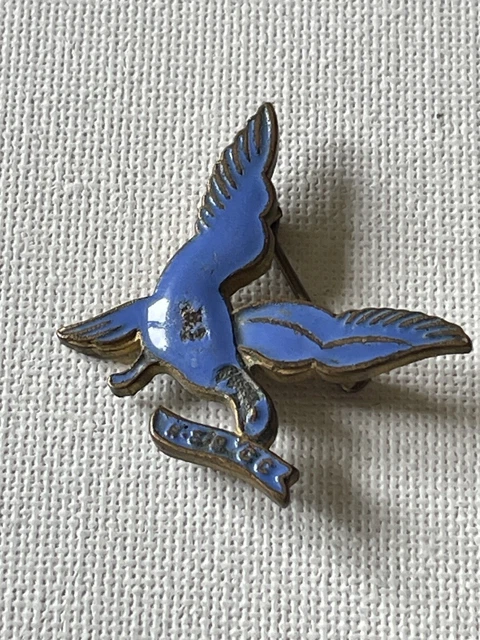 2 X COLLECTIBLE Vintage NSPCC Blue Bird Metal & Enamel Pin Badge League ...