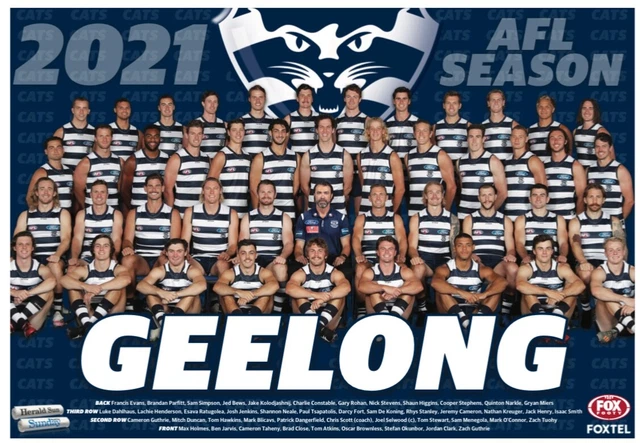 GEELONG CATS AFL football team poster,BIG, 420x300,Sydney swans,Pies ...