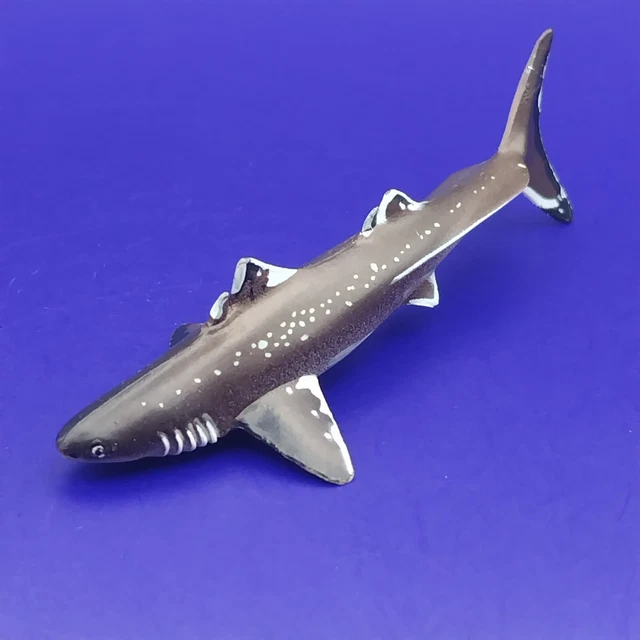 CLADOSELACHE FIGURE KAIYODO DINOSAUR Excavation Ancient Chocolasaurus ...