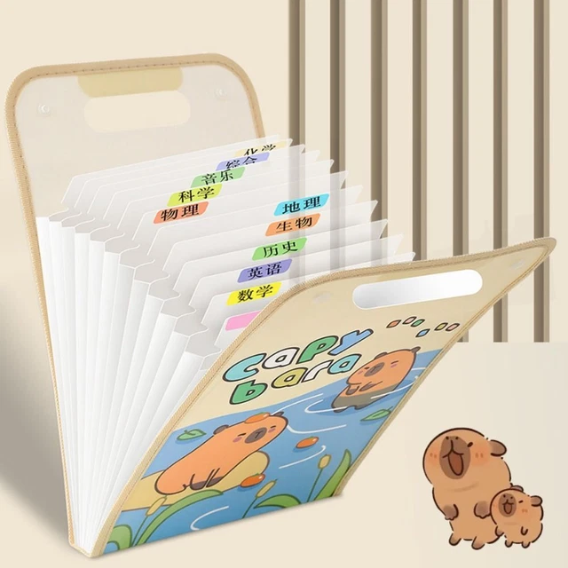 CARTOON A4 FILE Folder Capybara File Organizer Cute Envelope Folder EUR ...