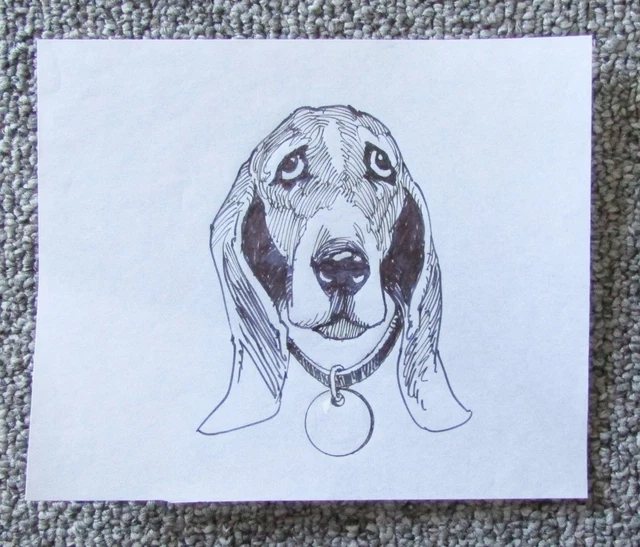 ATTRIBUTED TO DARREL Millsap Sketch Bassett Hound $30.53 - PicClick AU