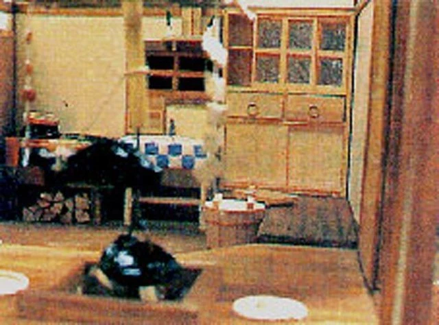 DIY JAPANESE HOUSE Kitchen Kit 1/12 Miniature Room Wood Handcraft New £ ...