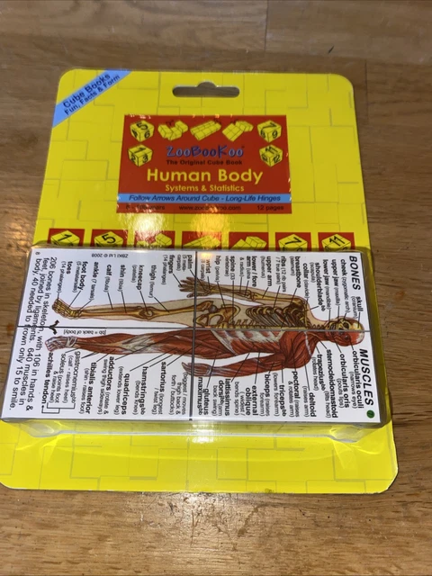 HUMAN BODY: SYSTEM & Statistics The Original Cube book. ZooBooKoo New £ ...