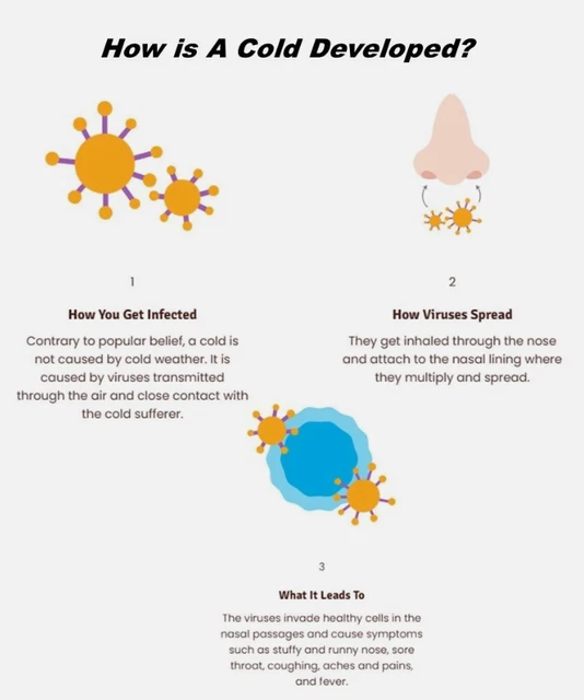 1 X BETADINE Adult Cold Defence Nasal Spray 20ml Helps Stop Colds Early ...