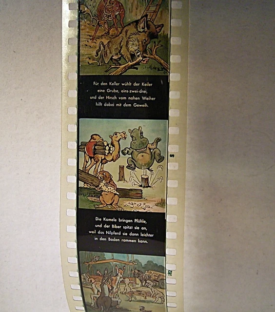 06 093 DDR Dia Film DEFA Color „Bärchens Abenteuer: Der Tierhausbau ...