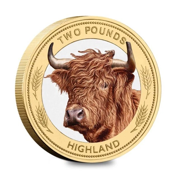 2024 HERITAGE CATTLE Breeds Highland Cow £2 Coloured Coin Ltd Edition £ ...