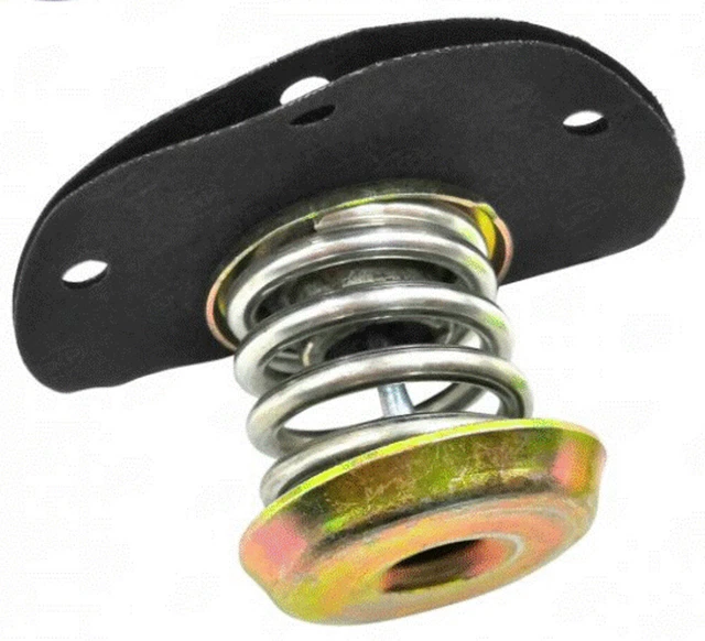 FUEL INJECTION FUEL Pressure Regulator Diaphragm-OHV SKP SKPR10 EUR 43 ...