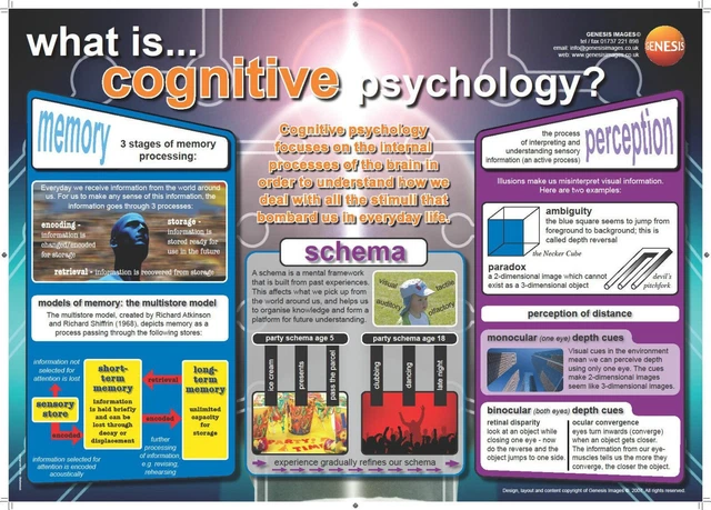 WHAT IS COGNITIVE Psychology? Large Wall Chart £12.95 - PicClick UK