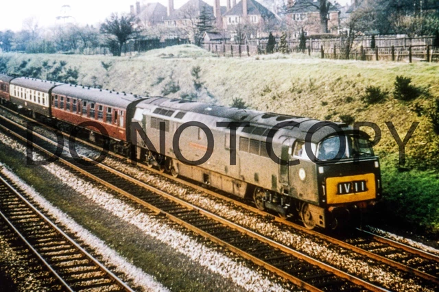 UK DIESEL TRAIN Railway Photograph Of Class 52 Western D1038. Rm52-106 ...