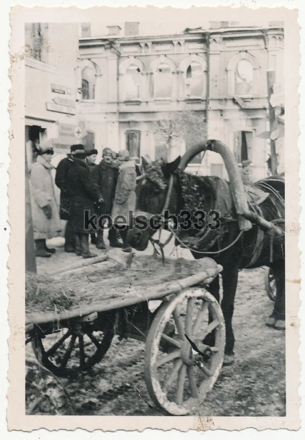 FOTO BAUERN UND Panje Pferde Feldwagen auf dem Schwarzmarkt in Smolensk ...