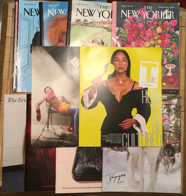 THE NEW YORK Times Magazine Lot New Yorker Style March April 2026 10 ...