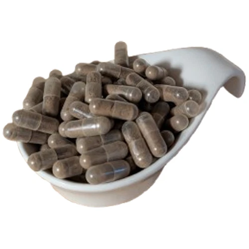 SHILAJIT KAPSELN - Mumijo Shilajit Extrakt 10:1, vegan Naturprodukt ...