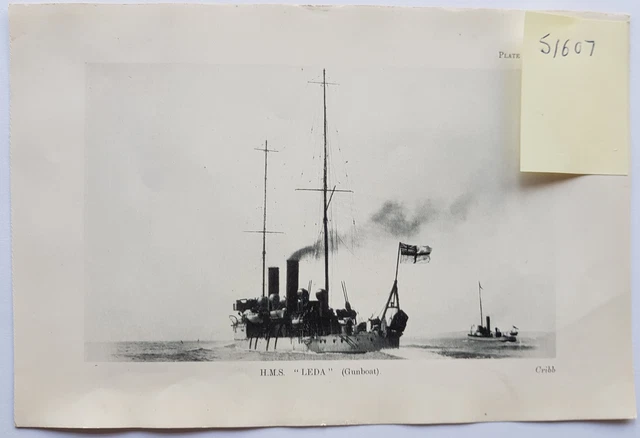 CRIBB WW1 GUNBOAT 1915 Photo Print HMS Leda Cruiser HMS Andromache EUR ...