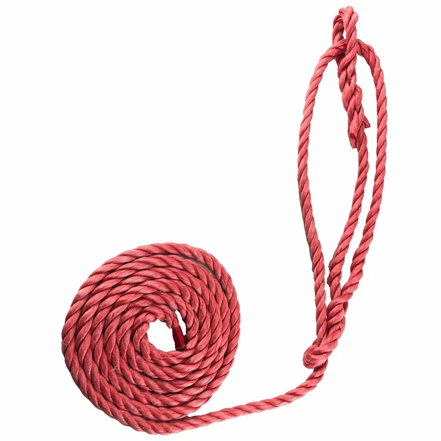 10MM RED POLYPROPYLENE Plain Show Rope Halter x 8ft, Cow Sheep Horse ...