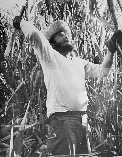 SHOWING WAY VOLUNTEER workers Cuban Premier Fidel Castro cuts - 1961 ...