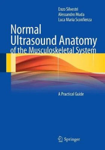 Normal Ultrasound Anatomy Of The Musculoskeletal System A Practical