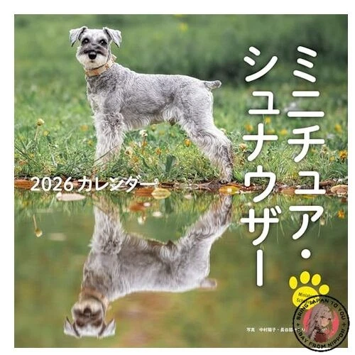 NOUVEAU CALENDRIER 2026 miniature Schnauzer Seibundo Shinkosha ...