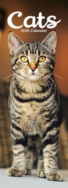 CATS 2026 SLIM Wall Calendar Official £8.43 - PicClick UK