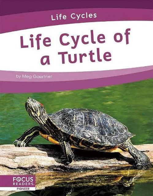 LIFE CYCLES: LIFE Cycle of a Turtle by Meg Gaertner (English) Hardcover ... LIFE CYCLES: LIFE Cycle of a Turtle by Meg Gaertner (English) Hardcover ...