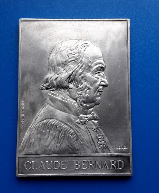 #20122# MÉDAILLE &CLAUDE Bernard (1813-1878). médaille Plaque/ A.Borrel ...