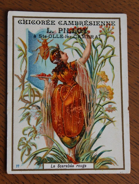 ANCIEN CHROMO CHICOREE Cambresienne Pilloy Cambrai Le Scarabee Rouge ...
