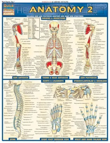 ANATOMY 2 QUICKSTUDY Laminated Reference Guide [QuickStudy Academic] $4 ...