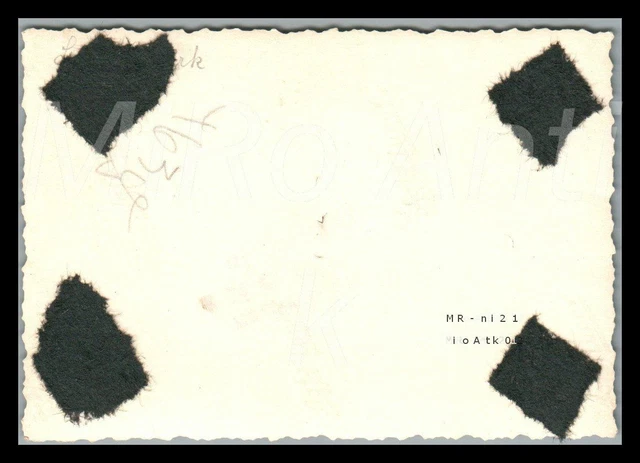 FOTO WK2 NACHL. Th.Lampel, I.R.171, Lowel Luck, Offiziere im Park ...