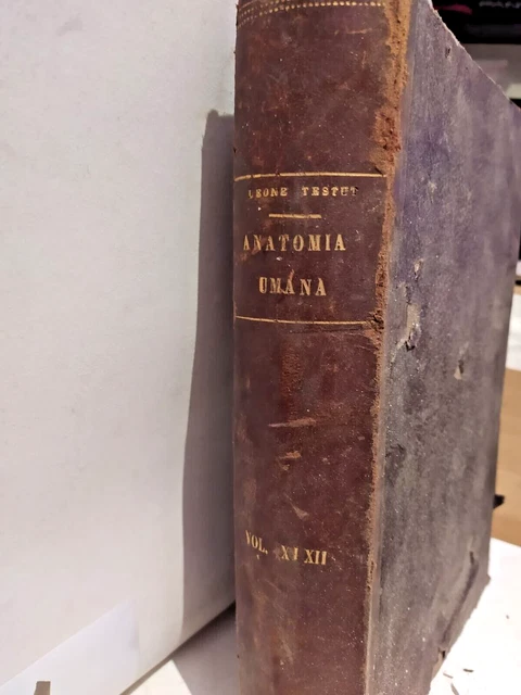 TESTUT MENSCHLICHE ANATOMIE GENITALAPPARAT UTET 1931 Buch 11. (g1) EUR ...