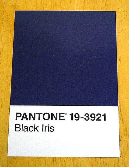 PANTONE COLOUR PRINTED Postcard ~ Number 19-3921 'Black Iris' ~ New £1. ...