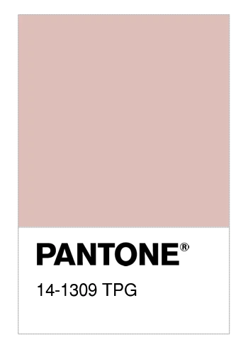 PANTONE 17-1320 TCX Smart Color Swatch Card TANNIN £10.37 - PicClick UK