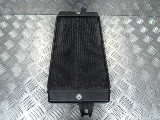 TRIUMPH BONNEVILLE SPEED Street Twin Thruxton 1200 Radiator unit 2016 ...