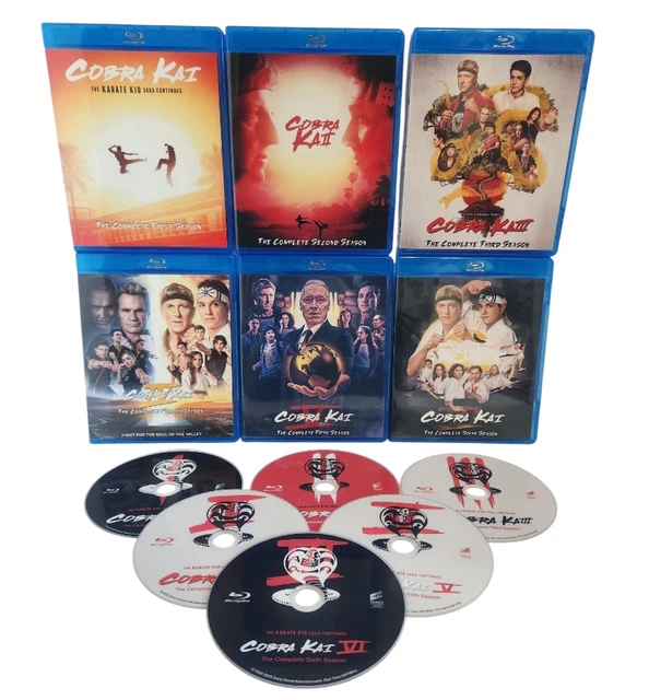 COBRA KAI (KARATE Kid TV Show) Complete Series Collectible on BD BUNDLE ...
