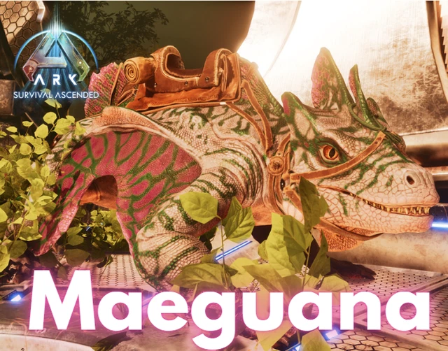 🦎ARK ASA OFFICIAL PvE NEW Event-Coloured Maeguana 🦎752 Weight Lvl 209 Clone $10.00 - PicClick AU