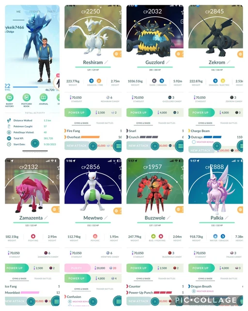 POKEMON GO IV22|SHINY Mewtwo| Shiny Reshiram| Shiny Zamazenta| Groudon ...