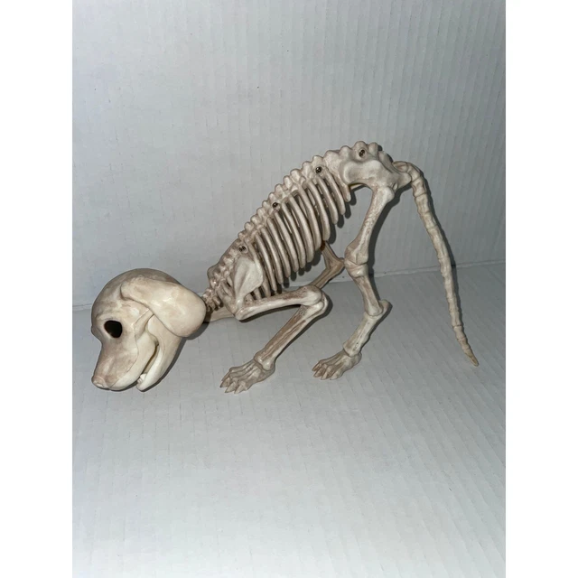 7& PLAYFUL PUPPY Dog Skeleton Spooky Bone Dead Animal Prop Halloween ...