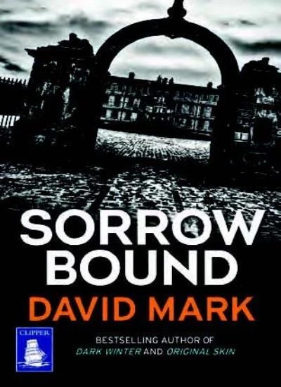 SORROW BOUND (LARGE Print Edition) By David Mark EUR 11,81 - PicClick FR