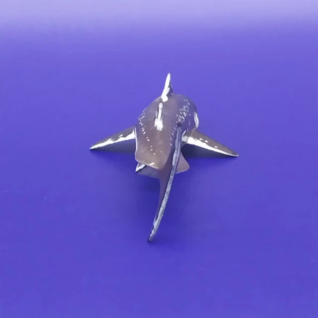 CLADOSELACHE FIGURE KAIYODO DINOSAUR Excavation Ancient Chocolasaurus ...