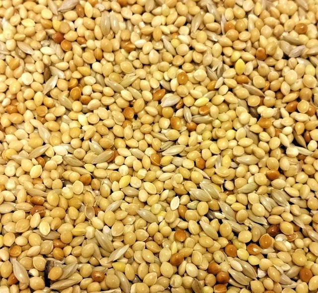 SPECIAL BUDGIE - (300g to 20kg) - Caged Bird Feed bp Millet Canary Seed ...