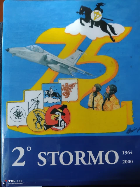 AERONAUTICA MILITARE 2° Stormo note storiche 1964 2000 Rivolto EUR 129,90 - PicClick IT