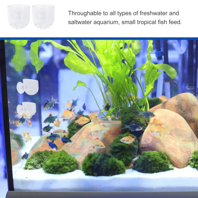 2 PCS ACRYLIC Fish Feeder Feeding Cup Red Worm Container Aquarium ...