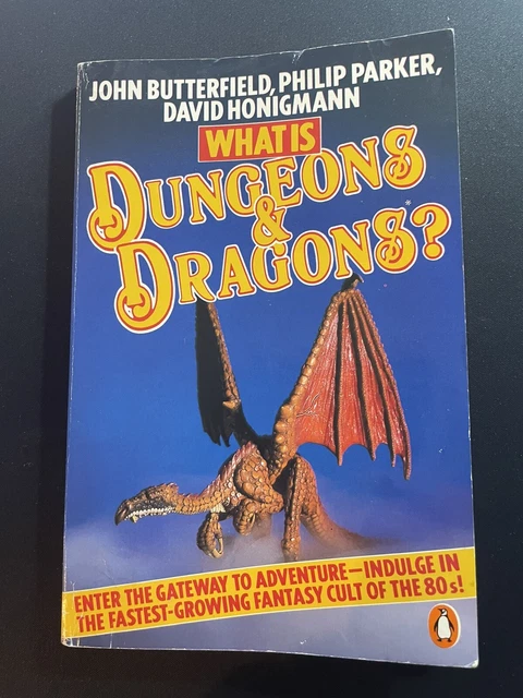 WHAT IS DUNGEONS & Dragons (John Butterfield) 1982 Edition £5.00 ...