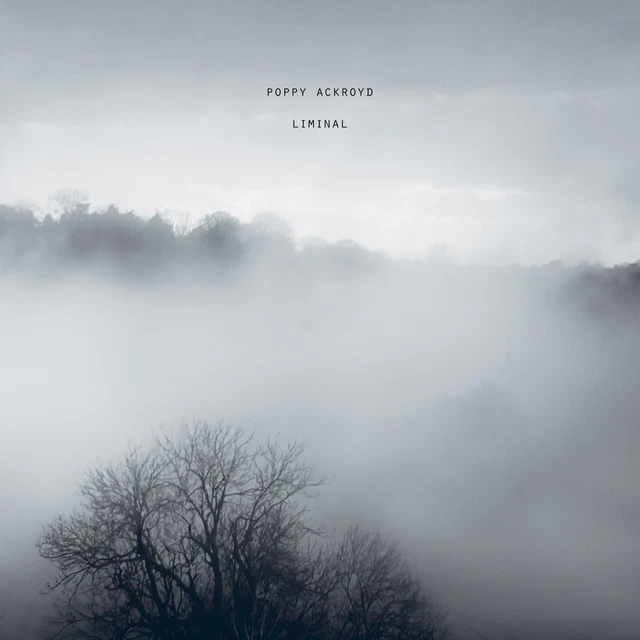 POPPY ACKROYD POPPY Ackroyd: Liminal (CD) Album (PRESALE 05/06/2026 ...