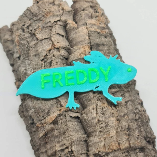 PERSONALISED AXOLOTL NAME Tag £6.50 - PicClick UK