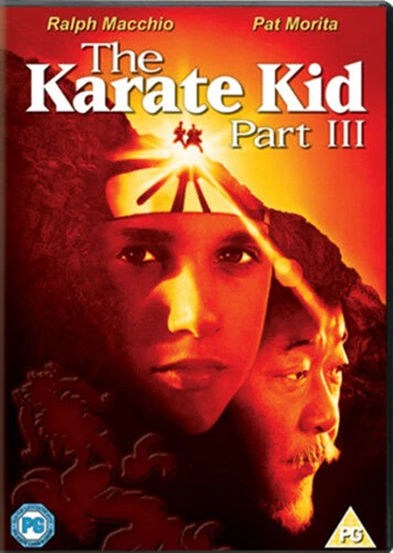 THE KARATE KID 3 DVD (2011) £2.39 - PicClick UK