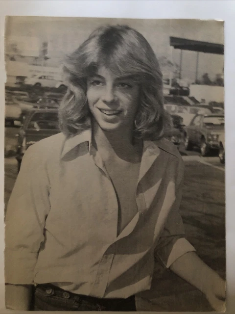 VINTAGE 70’S 80’S Pinup Leif Garrett + Mark Hamill Teen Magazine Pin-Up 1 Page £9.12 - PicClick UK