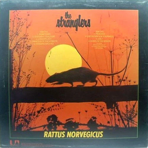 THE STRANGLERS - Stranglers IV (Rattus Norvegicus) (LP, Album) EUR 53 ...