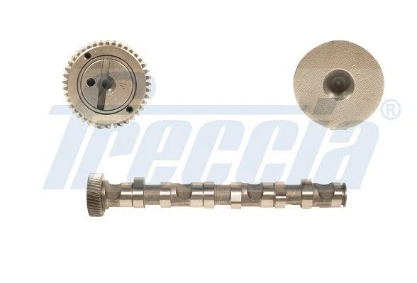 FRECCIA CM05-2122 NOCKENWELLE für Audi A4 B5 2.5 B6 2.5 97-04 EUR 100,04 - PicClick DE