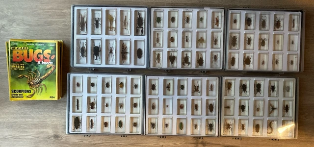 NATIONAL GEOGRAPHIC REAL Life Bugs & Insects Collection 86 Bugs And 89 ...