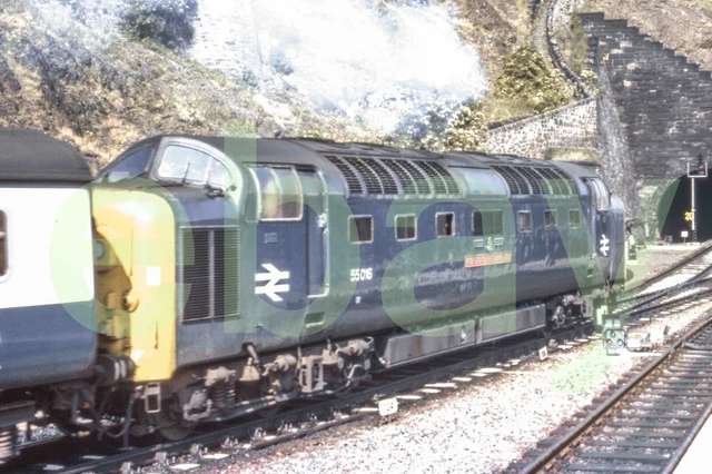 UK DIESEL TRAIN Railway Photograph Of Class 55 Deltic Loco 55016. Rm55 ...